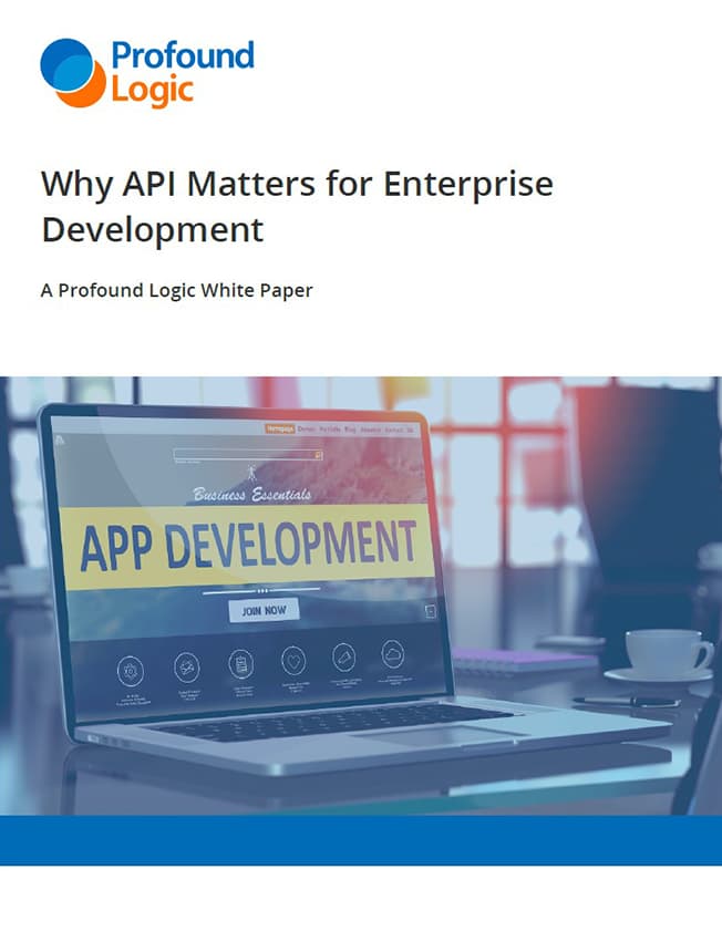 Whitepaper: Why API Matters for Enterprise Development Whitepaper: Why API Matters for Enterprise Development